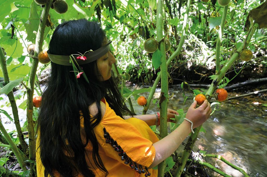 Riqueza exótica-La naranjilla o Quito Quito - Revista Apuntes de Familia
