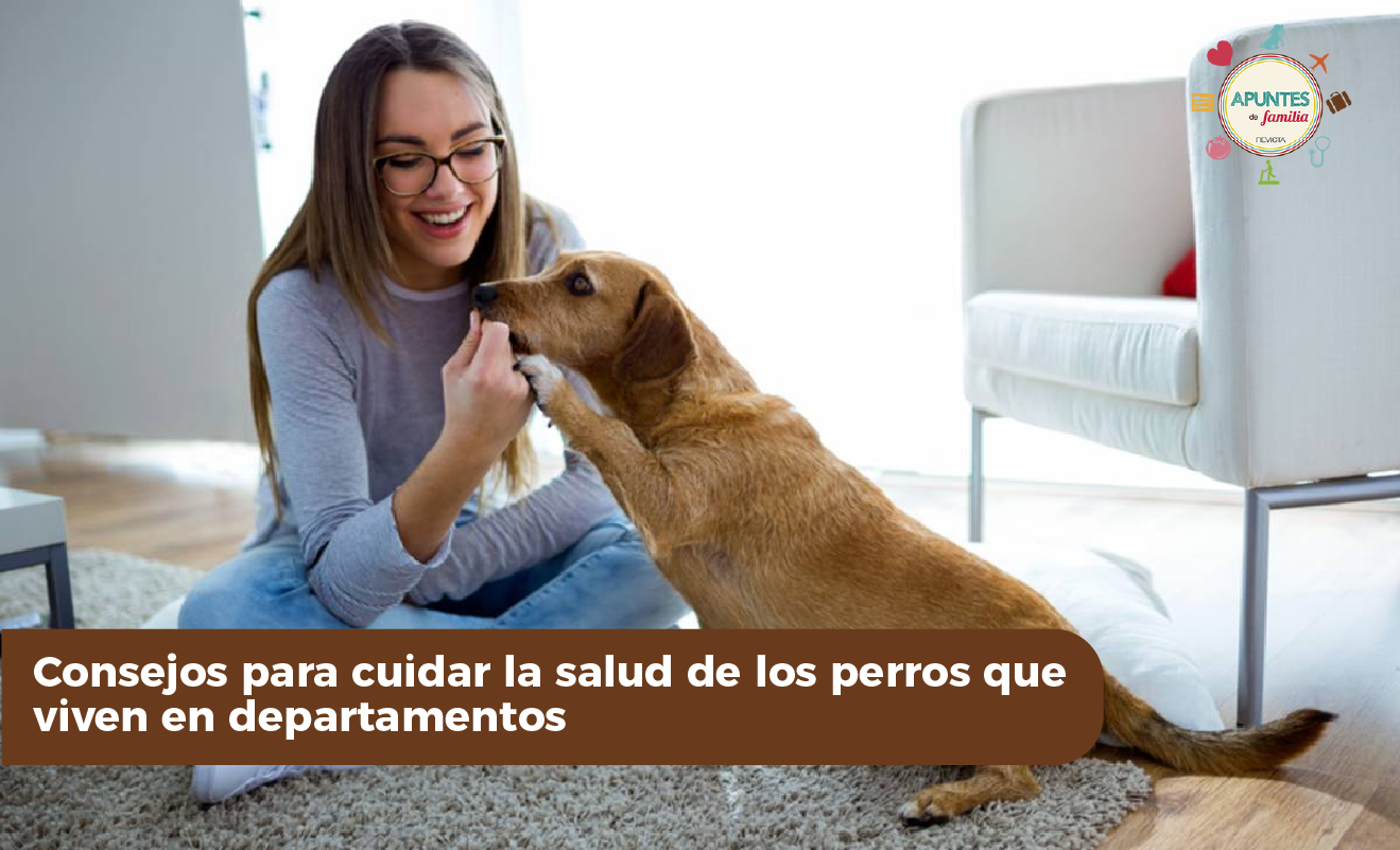 Consejos para cuidar la salud de los perros que viven en departamentos ...