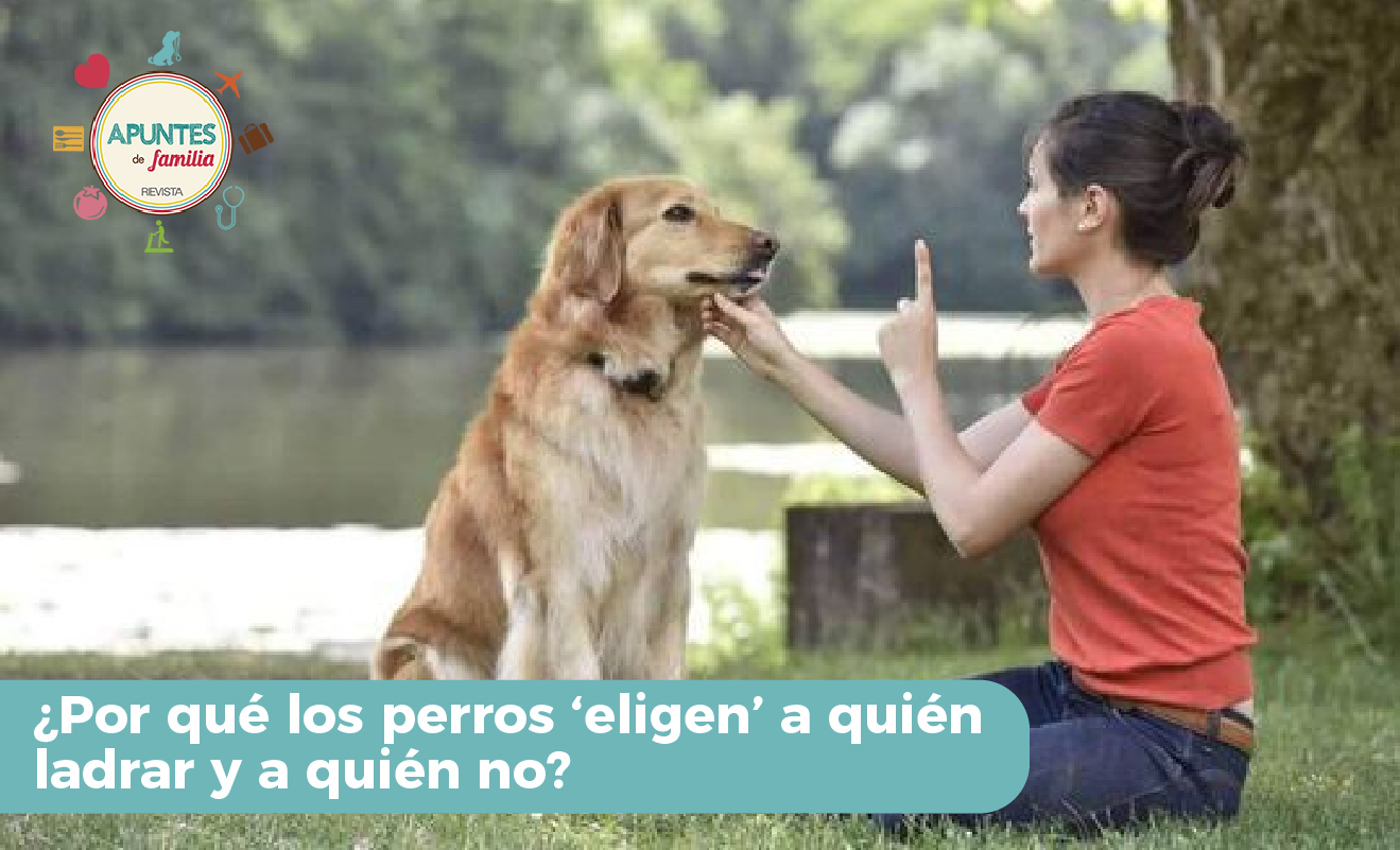 ¿Por qué los perros ‘eligen’ a quién ladrar y a quién no? - Revista ...